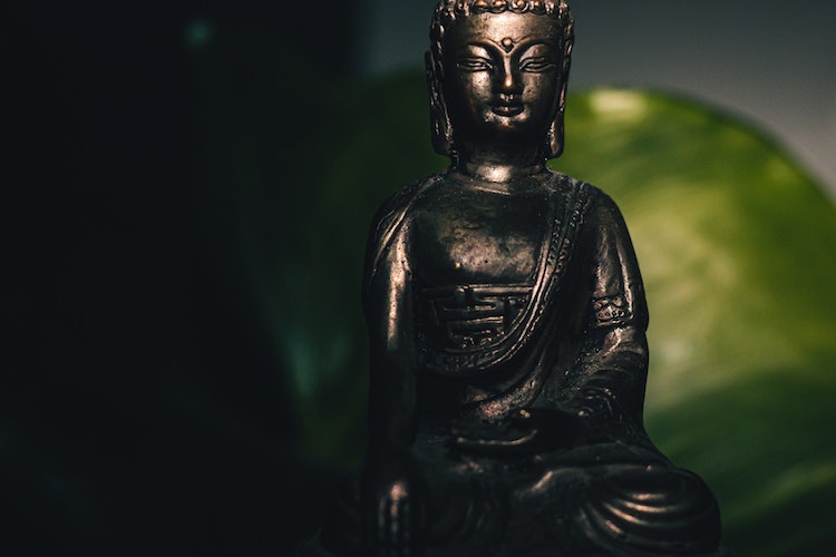 Unsplash - Dark Zen - Waking Times